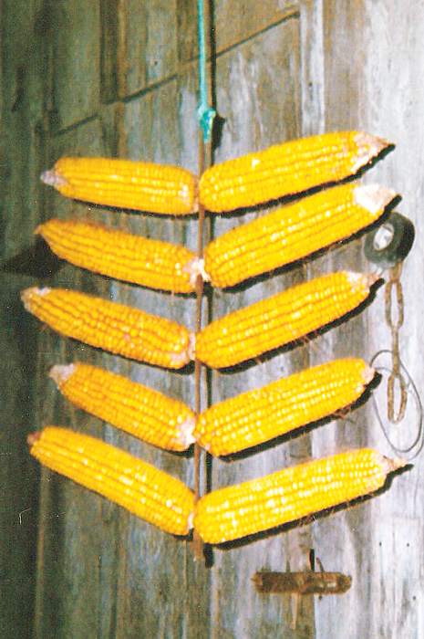 Four Seasons on The Farm - Farm Collector